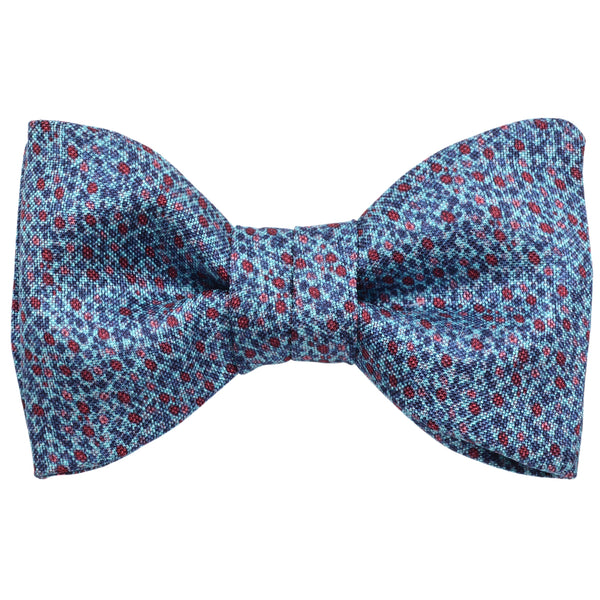 PT_586 – DION 1967